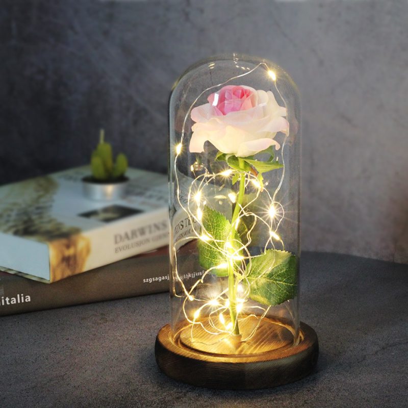 LED Light Rose Flower in Glass Gift - TurboTech Co