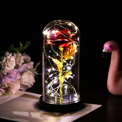LED Light Rose Flower in Glass Gift - TurboTech Co