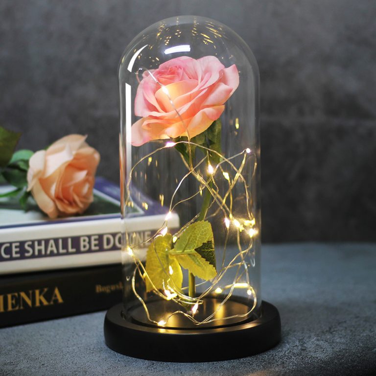 LED Light Rose Flower in Glass Gift - TurboTech Co