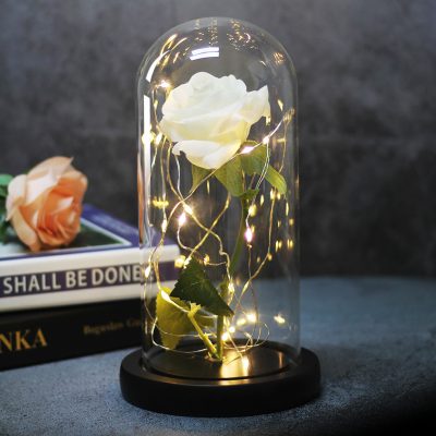 LED Light Rose Flower in Glass Gift - TurboTech Co