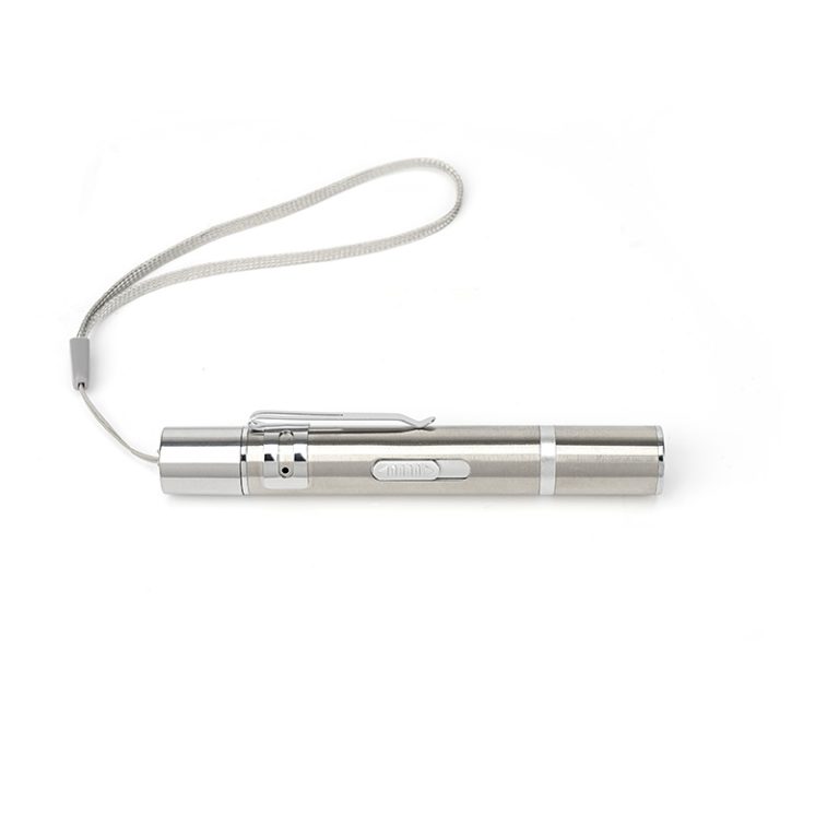 Laser Pointer Pet Toy: Interactive LED Light Long Range for Training ...