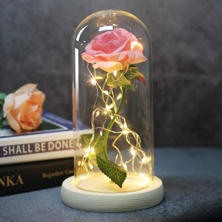LED Light Rose Flower in Glass Gift - TurboTech Co